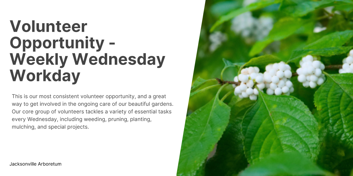 Volunteer Opportunity - Weekly Wednesday Workday | Jacksonville Arboretum